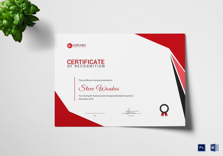 Judo Recognition Certificate Design Template in PSD, Word