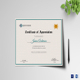Employee Service Certificate Design Template in PSD, Word