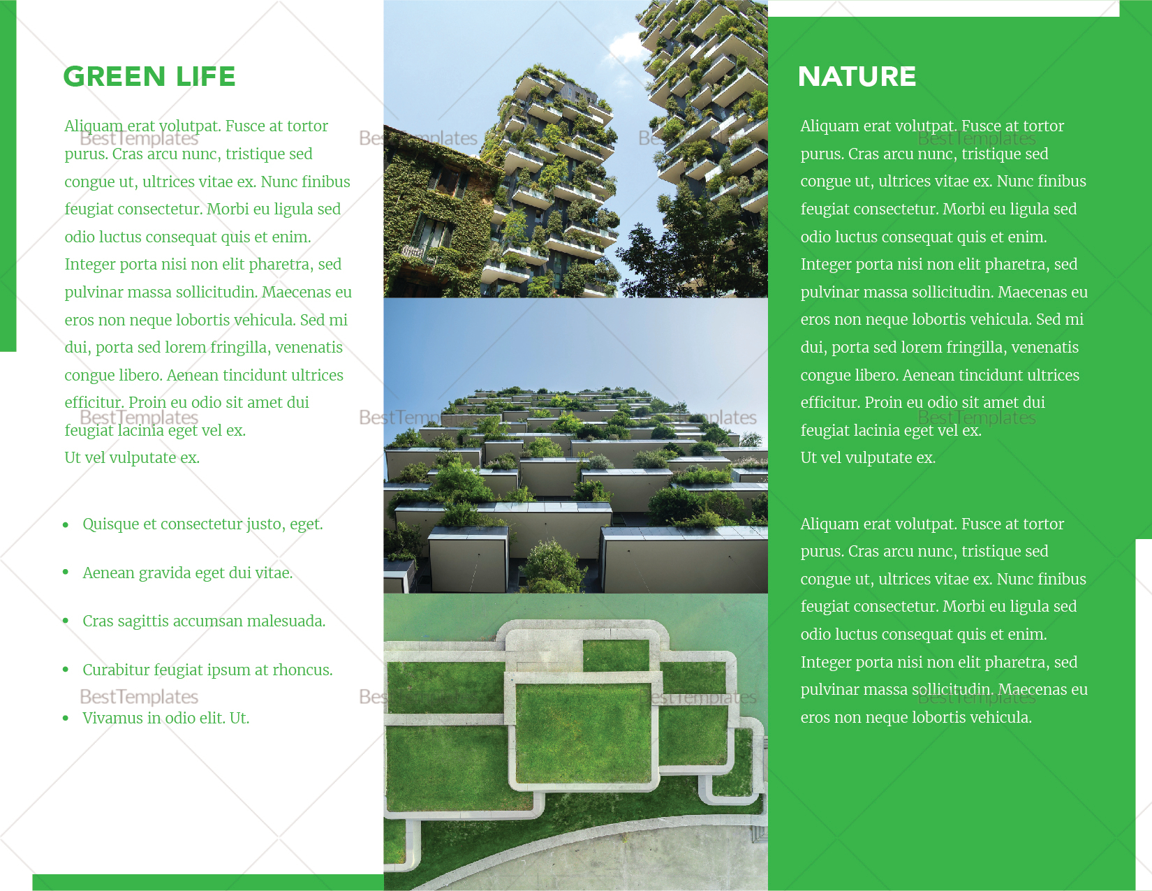 Landscape Brochure Template Free Download Printable Templates