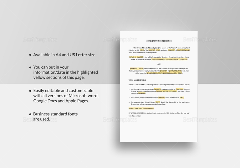 Notice of Grant of Stock Option Template in Word, Google Docs, Apple Pages