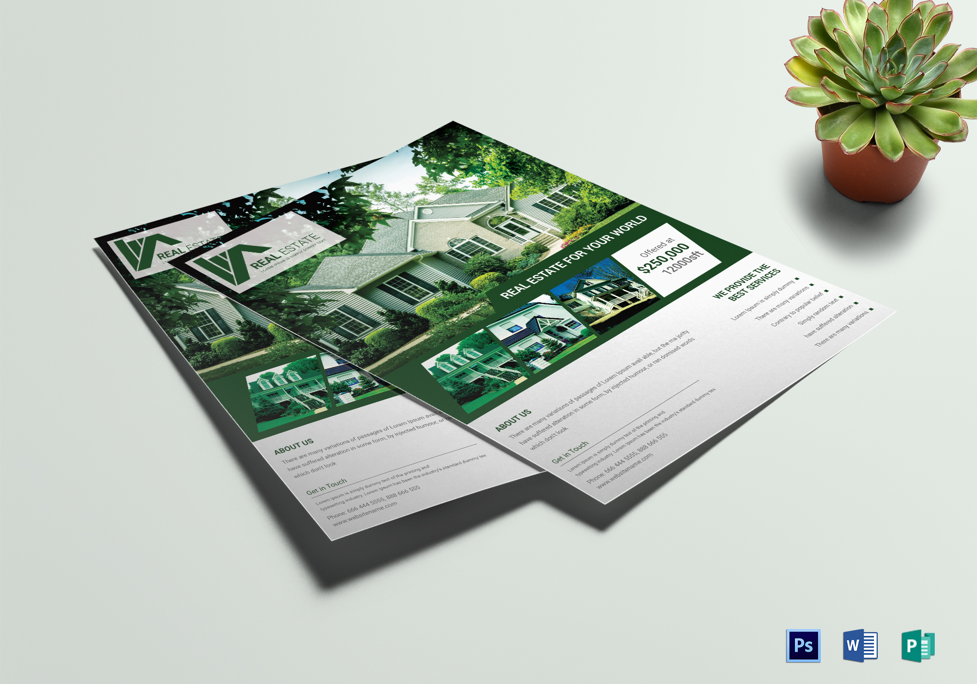Real Estate Agent Flyer Design Template in Word, PSD, Publisher