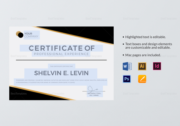 Professional Experience Certificate Template in PSD, Word, Illustrator ...