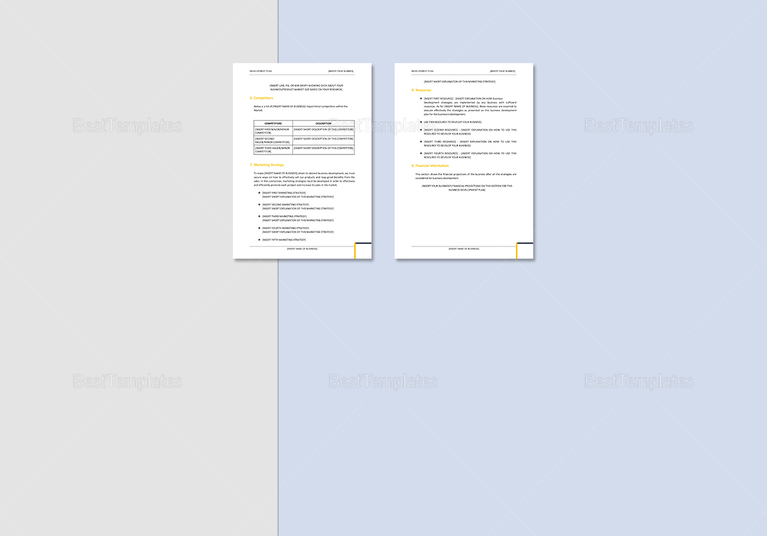 Business Development Plan Template in Word, Google Docs, Apple Pages