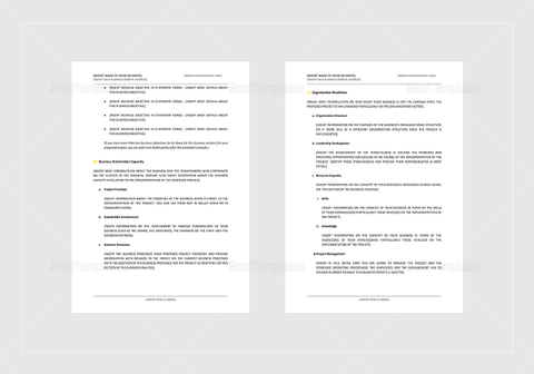 Business Analysis Template in Word, Google Docs, Apple Pages