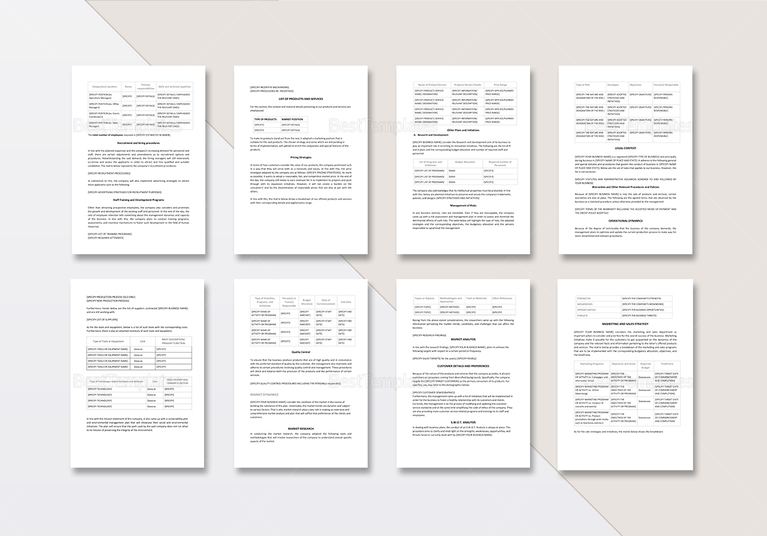 Sample Business Plan Template in Word, Google Docs, Apple Pages