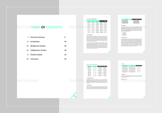 Situation Analysis Template in Word, Google Docs, Apple Pages