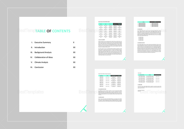 Situation Analysis Template in Word, Google Docs, Apple Pages
