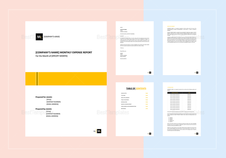 Monthly Expense Report Template in Word, Google Docs, Apple Pages