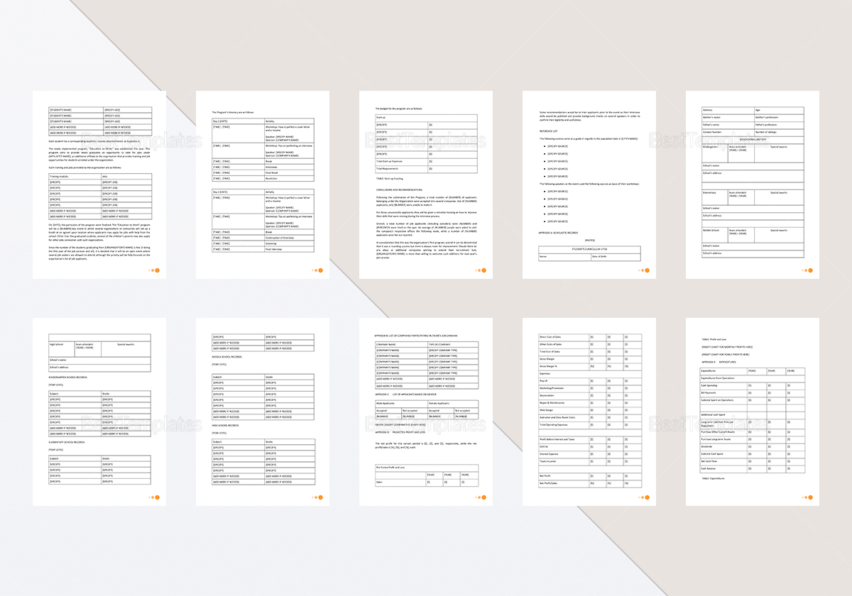 NGO Annual Report Template In Word Google Docs Apple Pages