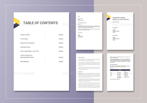 Weekly Activity Report Template in Word, Google Docs, Apple Pages