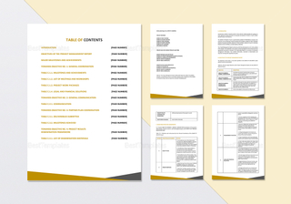 Project Management Report Template in Word, Google Docs, Apple Pages