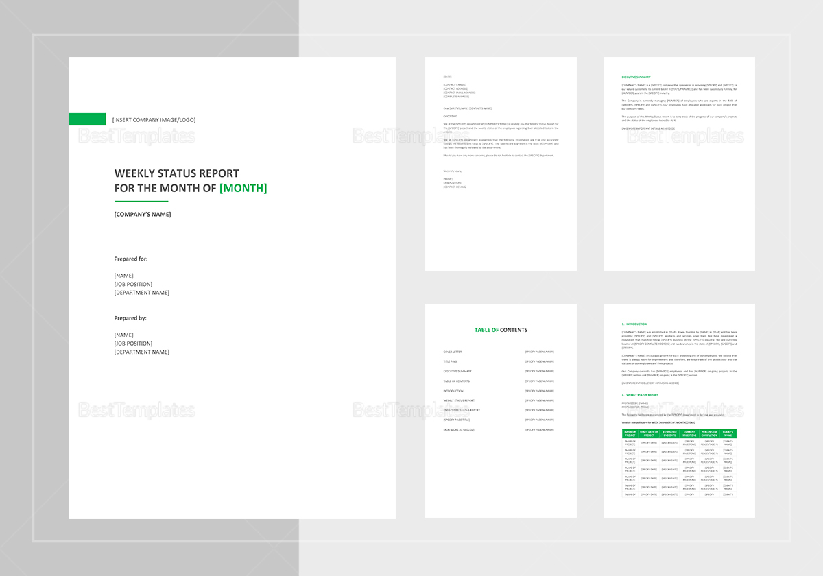 Weekly Status Report Template in Word, Google Docs, Apple Pages