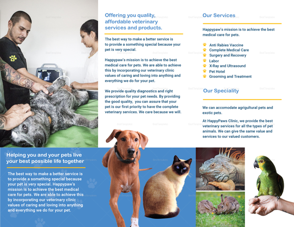 Veterinary Brochure Design Template in PSD, Word, Publisher ...