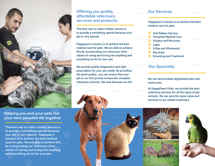 Veterinary Brochure Design Template in PSD, Word, Publisher ...