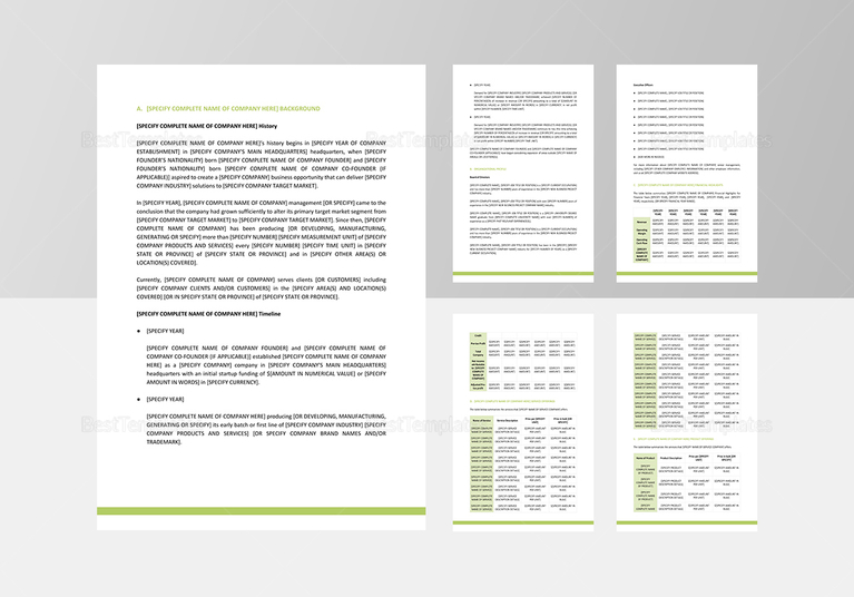 Company Fact Sheet Template in Word, Google Docs, Apple Pages