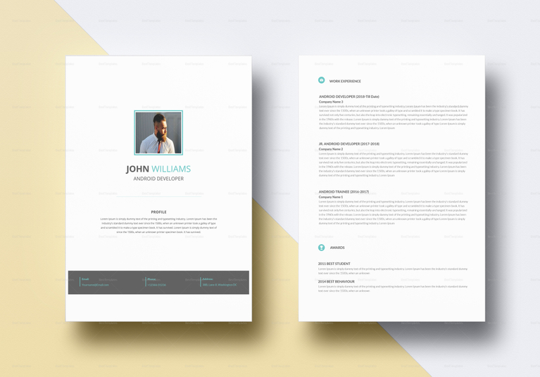 Professional Android Developer Resume Design Template in PSD, Word ...