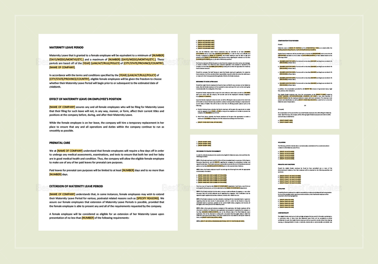 Maternity/Pregnancy Leave Policy Template in Word, Apple Pages