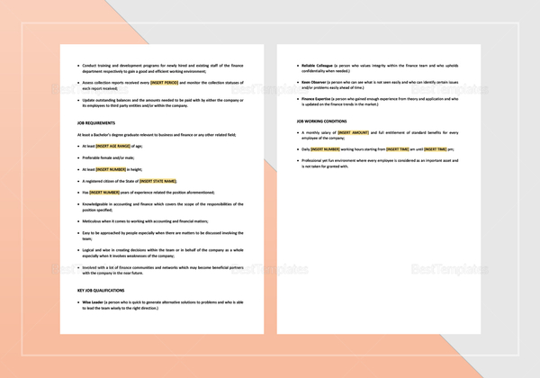 Director of Finance Job Description Template in Word, Apple Pages