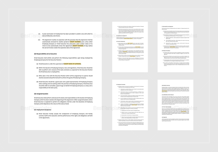 Executive Employment Agreement Template in Word, Apple Pages