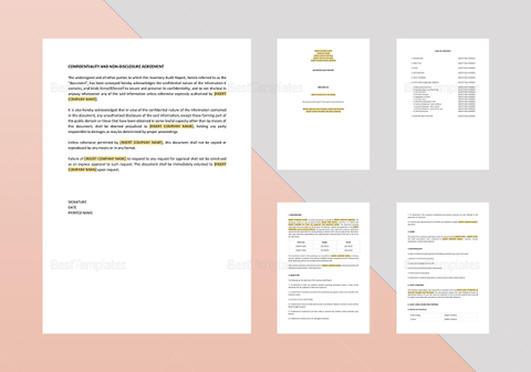 Inventory Audit Report Template in Word, Apple Pages
