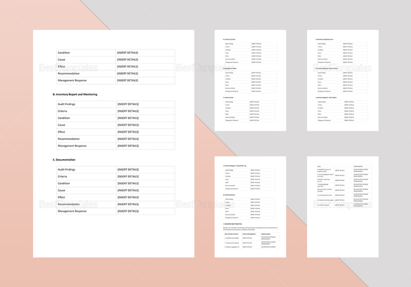 Inventory Audit Report Template in Word, Apple Pages