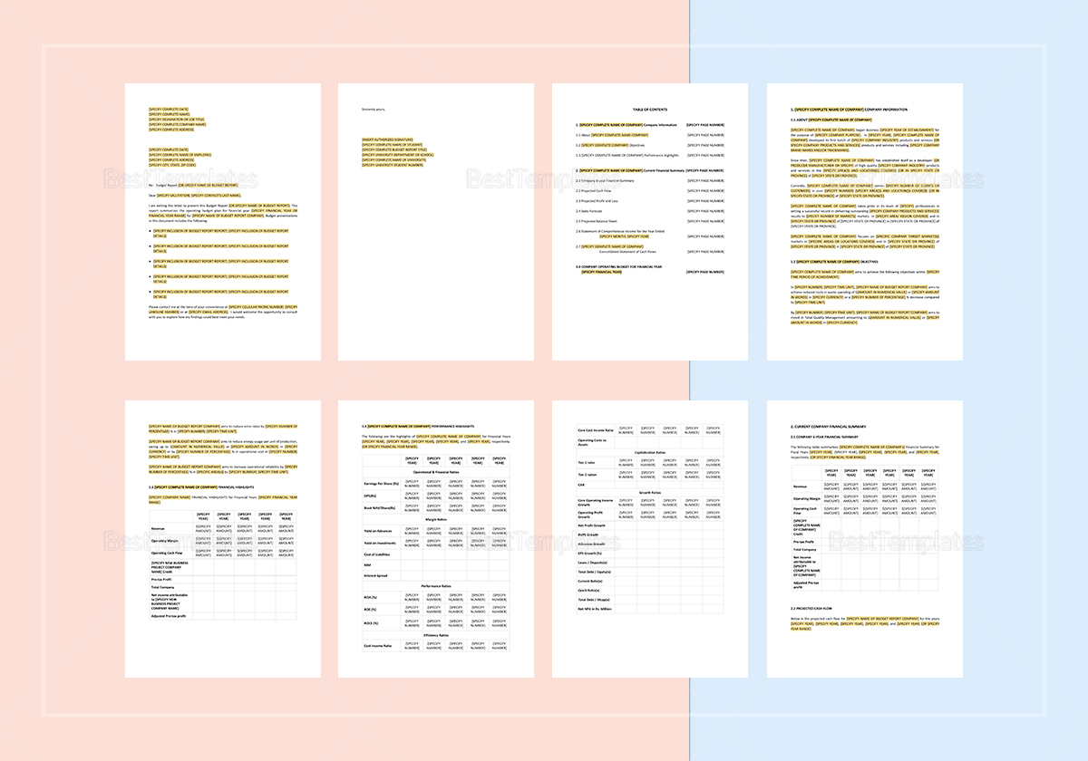 Budget Report Template in Word, Apple Pages