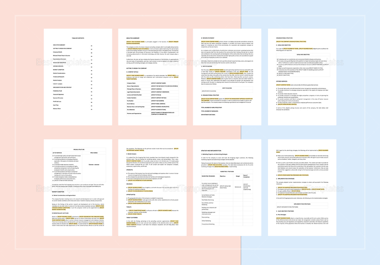 Human Resources Consulting Business Plan Template in Word, Apple Pages