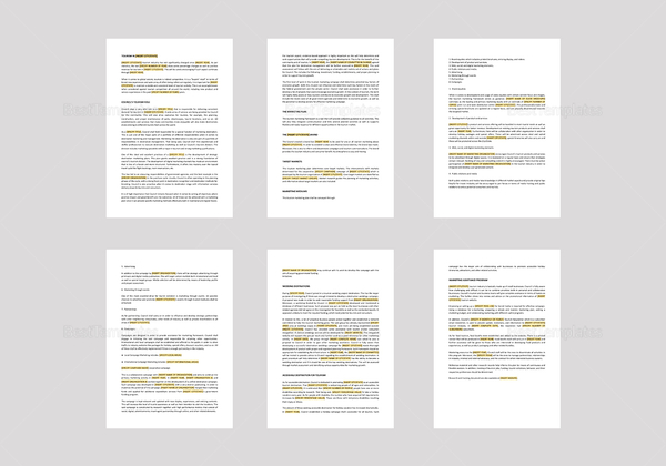 Tourism Marketing Plan Template in Word, Apple Pages
