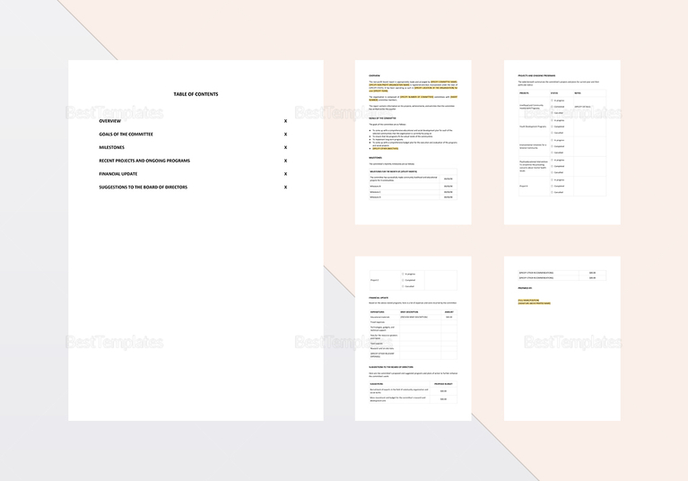 Non Profit Board Report Template in Word, Apple Pages