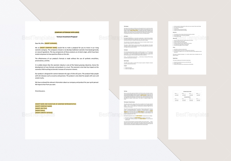 Venture Investment Proposal Template in Word, Apple Pages