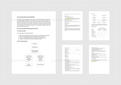 Business Process Analysis Template in Word, Apple Pages