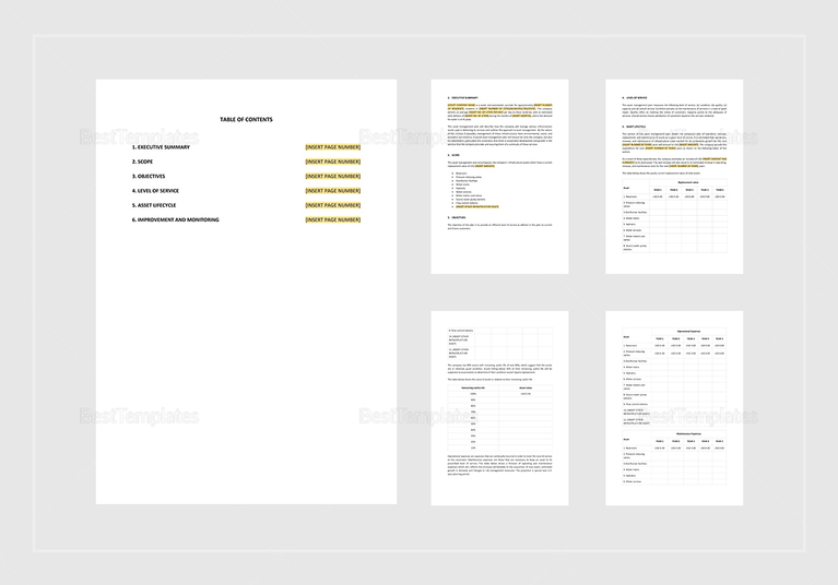 Asset Management Plan Template in Word, Apple Pages