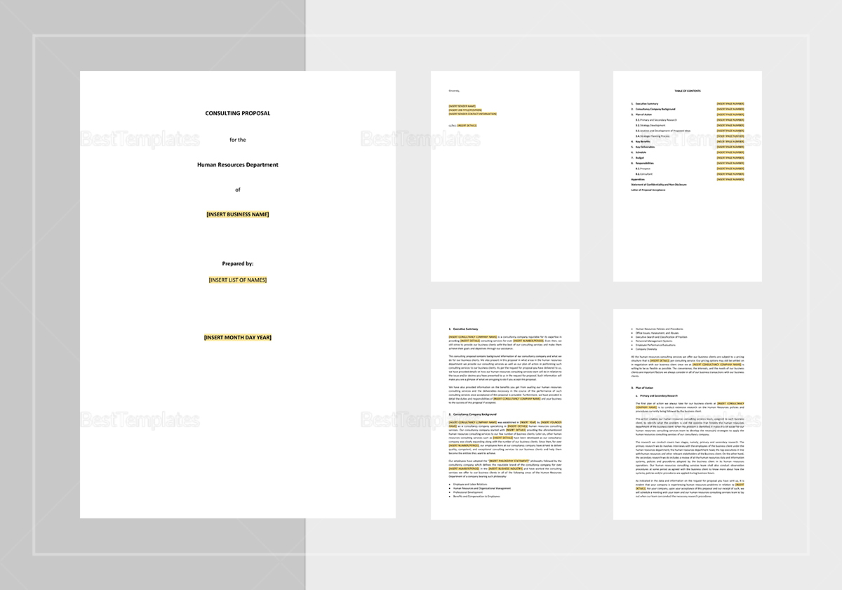HR Consulting Proposal Template In Word Apple Pages