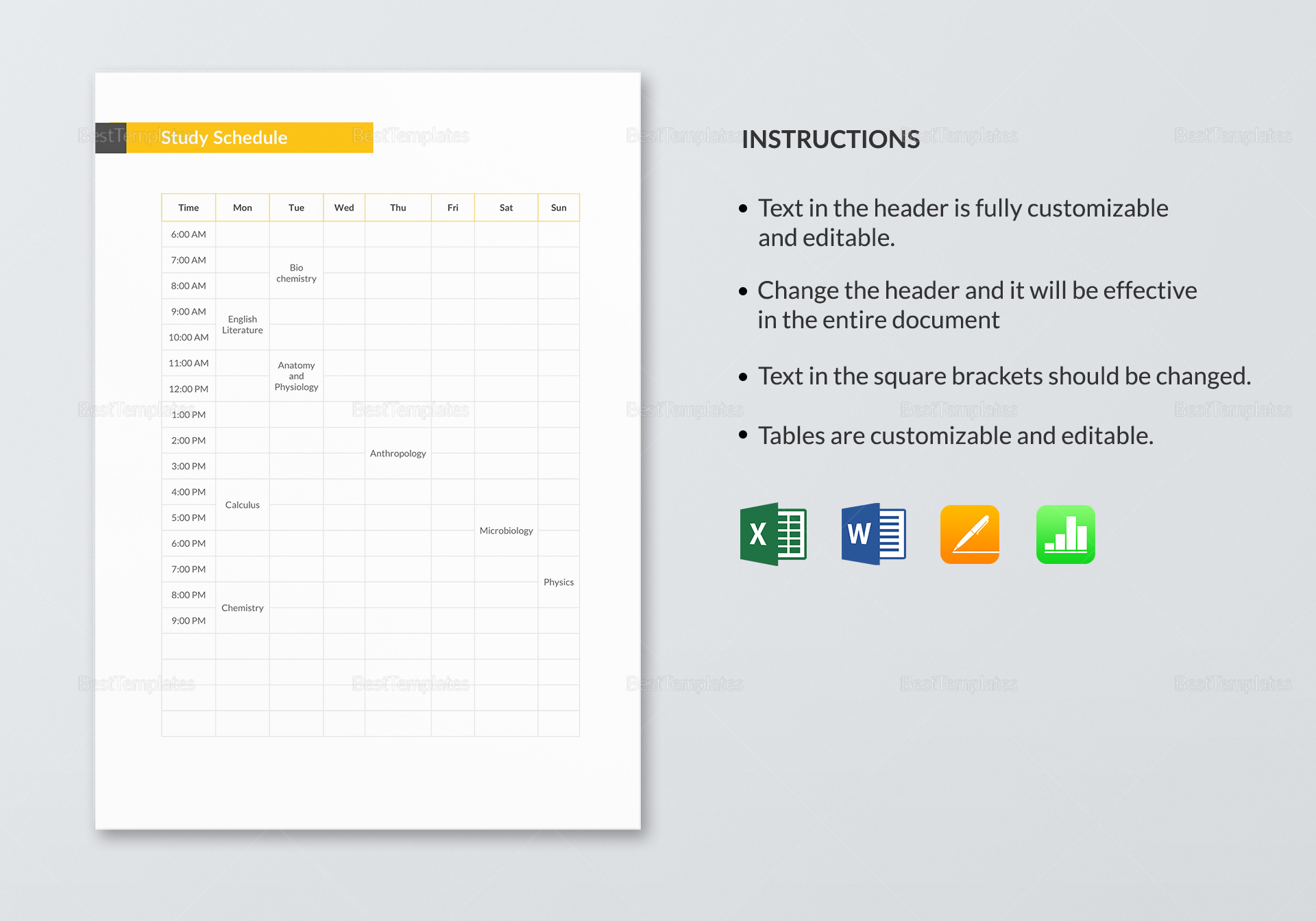 Study Schedule Template in Word, Excel, Apple Pages, Numbers