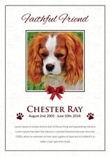 Premium Pet Funeral Program Template in Adobe Photoshop, Microsoft Word