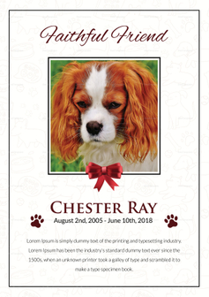 Premium Pet Funeral Program Template in Adobe Photoshop, Microsoft Word