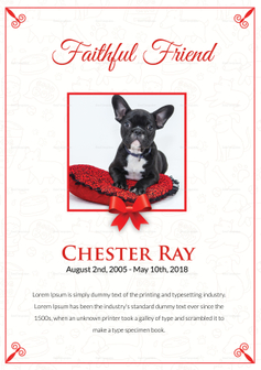 Pet Funeral Program Template in Adobe Photoshop, Microsoft Word