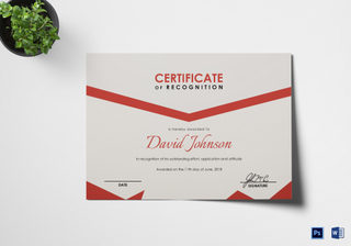 Boxing Recognition Certificate Design Template in PSD, Word