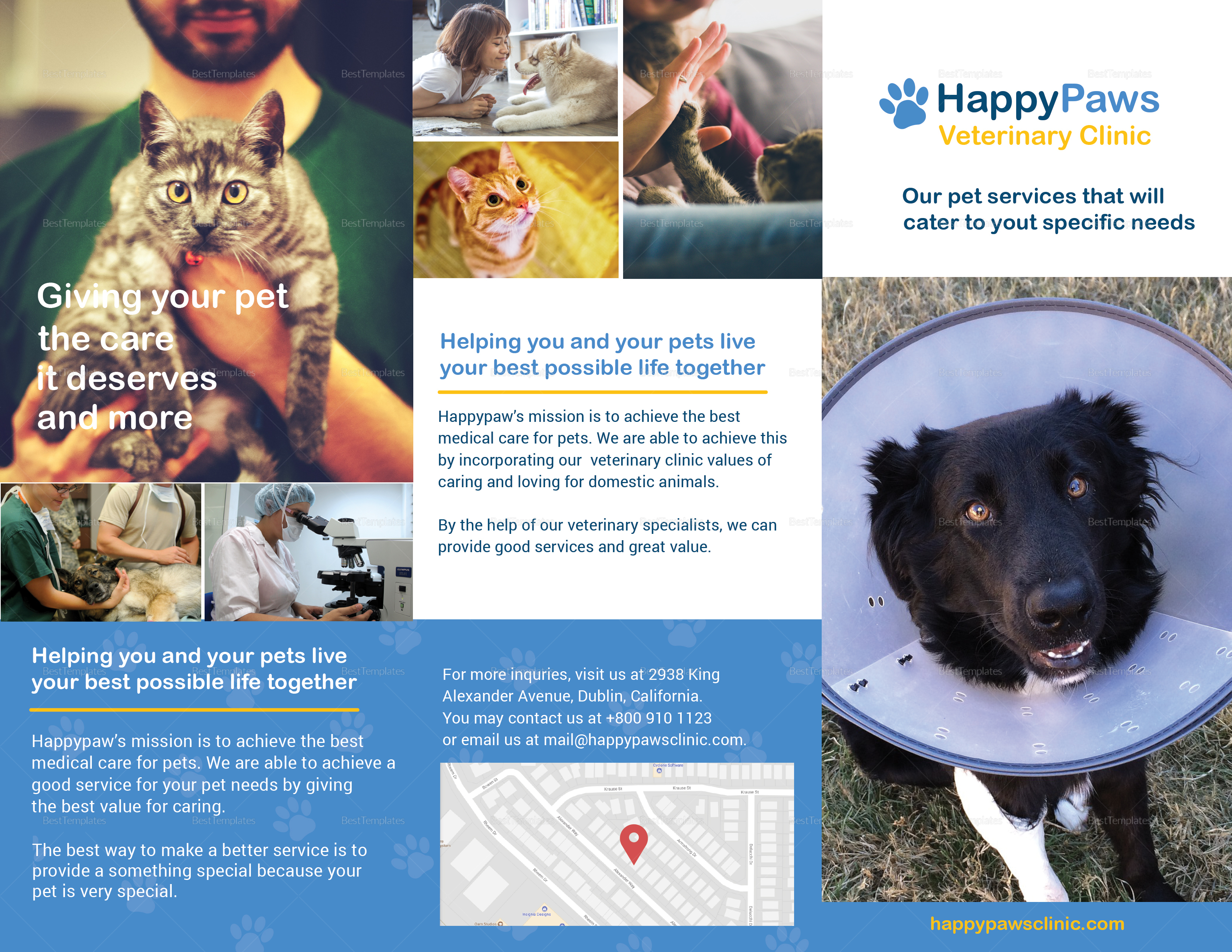 Veterinary Clinic Brochure Template